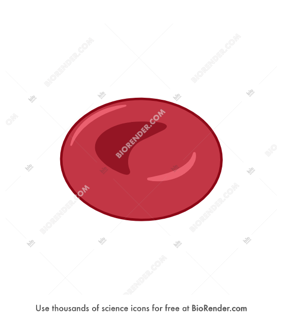 Red Blood Cell Cartoon