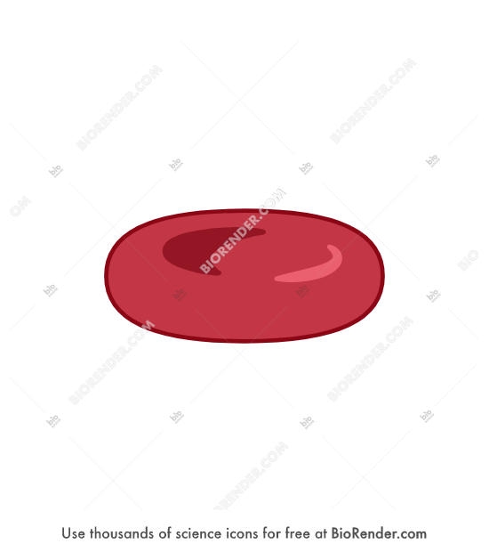Free Red blood cell 2 Icons, Symbols & Images | BioRender