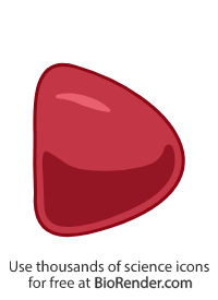 Free Red blood cell (bullet) Icons, Symbols & Images | BioRender