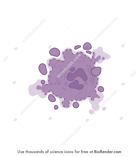Free Cell death (necrosis 2) Icons, Symbols & Images | BioRender