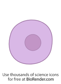 Free Stem Cell Icons, Symbols & Images | BioRender