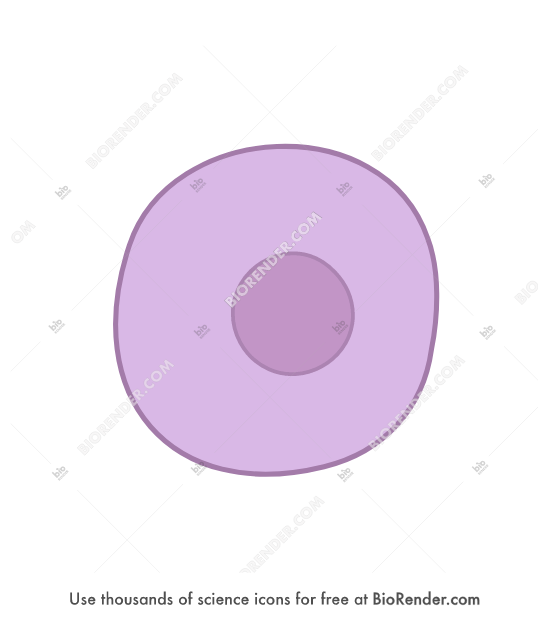 Free Stem Cell Icons, Symbols & Images | BioRender