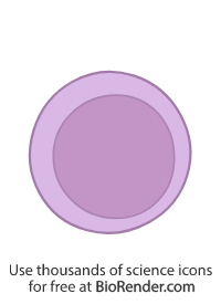 Free Stem cell (hematopoietic) Icons, Symbols & Images | BioRender