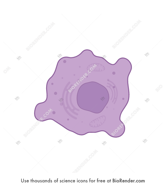 Free Cell death (necrosis 1) Icons, Symbols & Images | BioRender