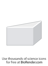 Free Rodent shelter Icons, Symbols & Images | BioRender