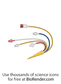 Free Swan-Ganz catheter Icons, Symbols & Images | BioRender