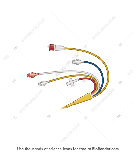 Free Swan-Ganz catheter Icons, Symbols & Images | BioRender