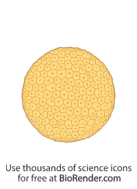 Free Spheroid (3D) Icons, Symbols & Images | BioRender