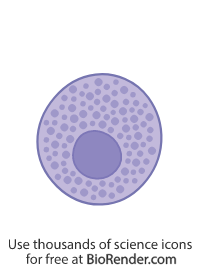 Free Mast cell Icons, Symbols & Images | BioRender