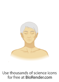 Free Jaundice (elderly) Icons, Symbols & Images | BioRender