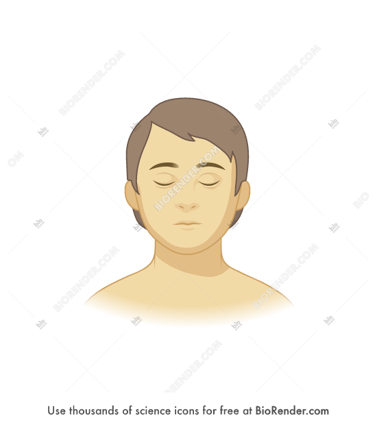 Free Jaundice (preteen) Icons, Symbols & Images | BioRender