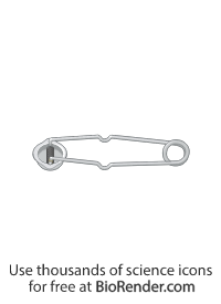 Free Flint striker Icons, Symbols & Images | BioRender