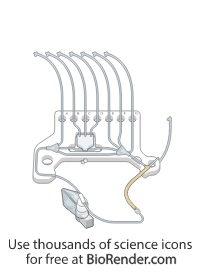Free CTS Rotea (single-use kit) Icons, Symbols & Images | BioRender