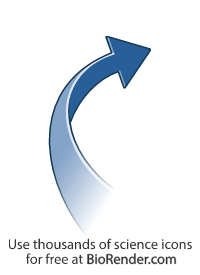 Free Curved arrow (3D) 2 Icons, Symbols & Images | BioRender