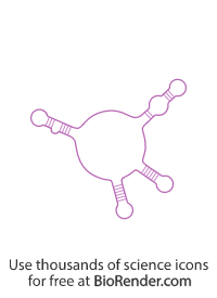 Free Circular RNA Icons, Symbols & Images | BioRender