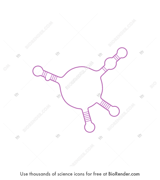 Free Circular RNA Icons, Symbols & Images | BioRender