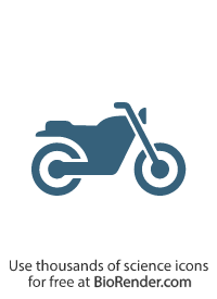 Free Motorcycle Icons, Symbols & Images | BioRender