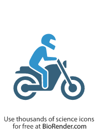 Free Motorcycle (with rider) Icons, Symbols & Images | BioRender