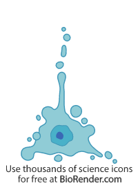 Free Neuroblastoma (SH-SY5Y, apoptosis, blebbing) Icons, Symbols ...