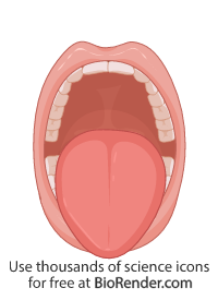 Free Mouth (open, Mallampati score class 4) Icons, Symbols & Images ...