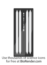 Free Flow cell (Illumina NextSeq) Icons, Symbols & Images | BioRender