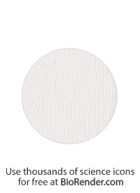 Free Filter paper (round) Icons, Symbols & Images | BioRender