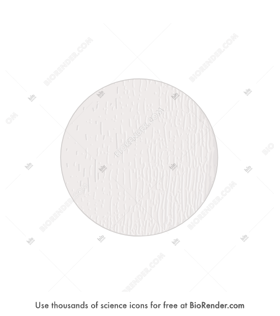 Free Filter paper (round) Icons, Symbols & Images | BioRender