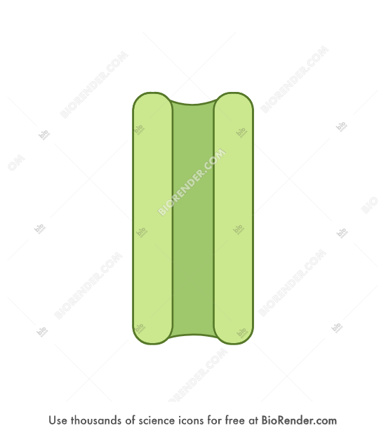 Free Efflux pump (outer membrane channel) Icons, Symbols & Images ...