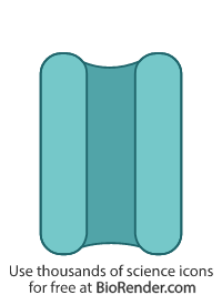 Free Efflux pump (generic) Icons, Symbols & Images | BioRender