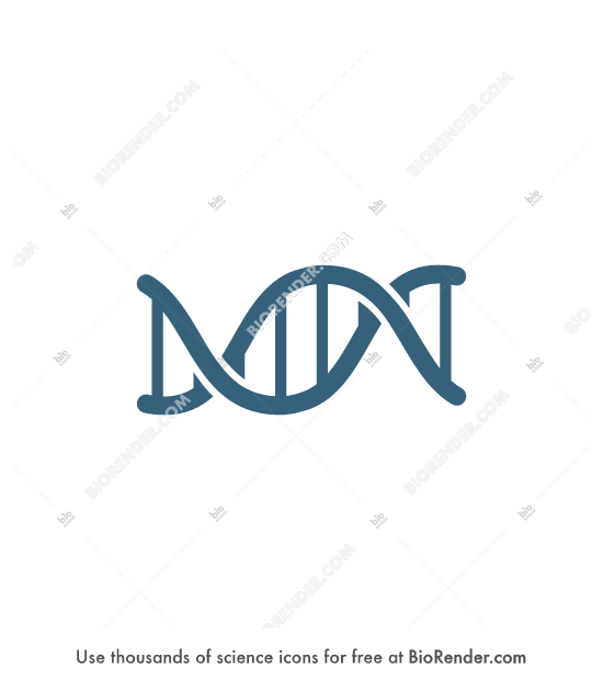 Free DNA (short, symbol) Icons, Symbols & Images | BioRender