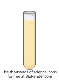 Free Tubes and Vials Icons, Symbols & Images | BioRender