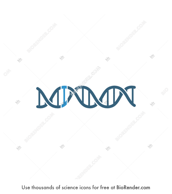 Free DNA with highlighted base pair (symbol) Icons, Symbols & Images ...
