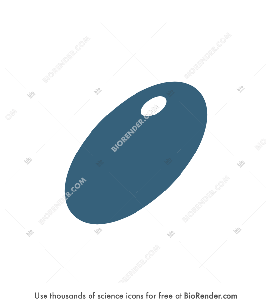 Free Pill (gel capsule, symbol) Icons, Symbols & Images | BioRender