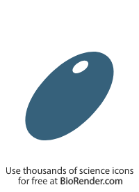 Free Pill (gel capsule, symbol) Icons, Symbols & Images | BioRender