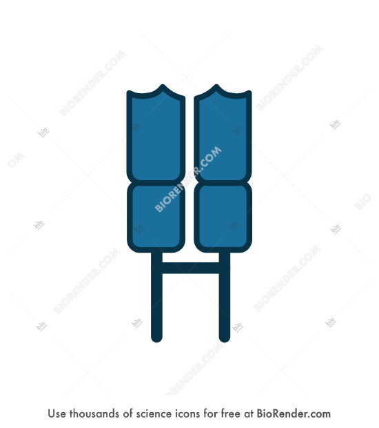 Free T cell receptor (TCR, short) Icons, Symbols & Images | BioRender