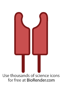 Free MHC class II (short) Icons, Symbols & Images | BioRender