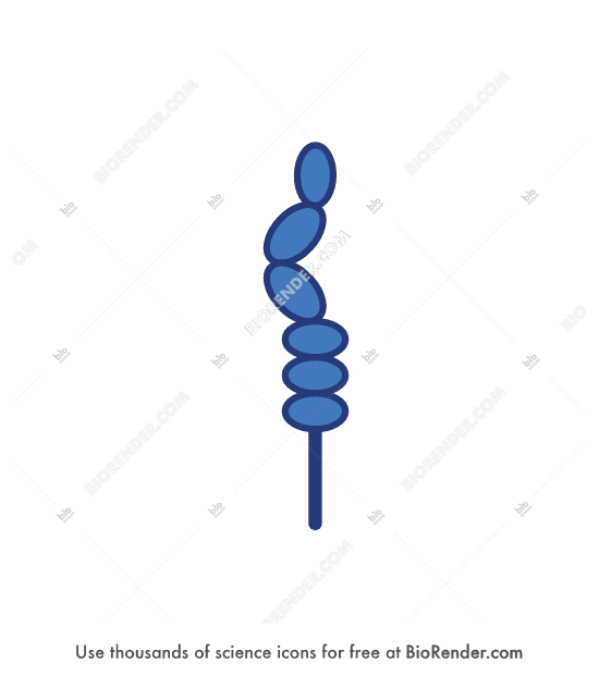 Free gp 130 (short) Icons, Symbols & Images | BioRender