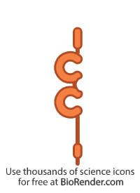 Free T cell receptor (TCR, short) Icons, Symbols & Images | BioRender