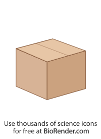 Free Cardboard box (closed) Icons, Symbols & Images | BioRender