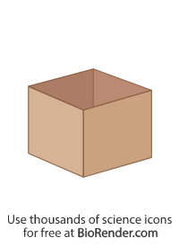 Free Cardboard box (empty) Icons, Symbols & Images | BioRender