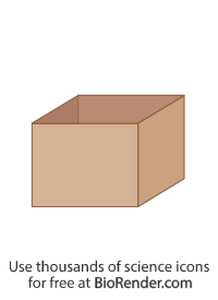 Free Cardboard box (empty, front view) Icons, Symbols & Images | BioRender