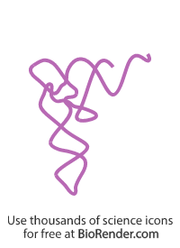 Free tRNA backbone Icons, Symbols & Images | BioRender