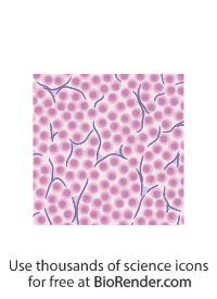 Free Anterior pituitary acinar structure (adenoma) Icons, Symbols ...