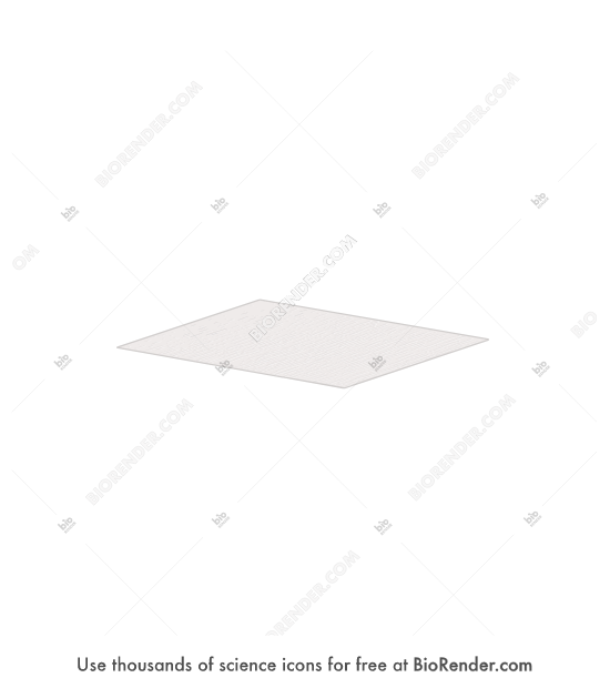 Free Filter paper (square) 2 Icons, Symbols & Images | BioRender