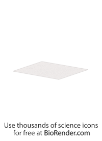 Free Filter paper (square) 2 Icons, Symbols & Images | BioRender