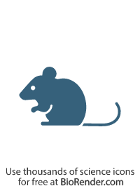 Free Mouse (symbol) 2 Icons, Symbols & Images | BioRender