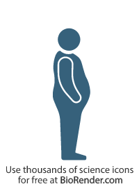 Free Person (symbol, lateral, subcutaneous adipose tissue) Icons ...