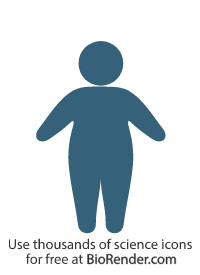 Free Person (symbol, child, obese) Icons, Symbols & Images | BioRender