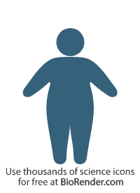 Free Person (symbol, adult, obese) Icons, Symbols & Images | BioRender