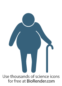 Free Person (symbol, elderly man, obese) Icons, Symbols & Images ...